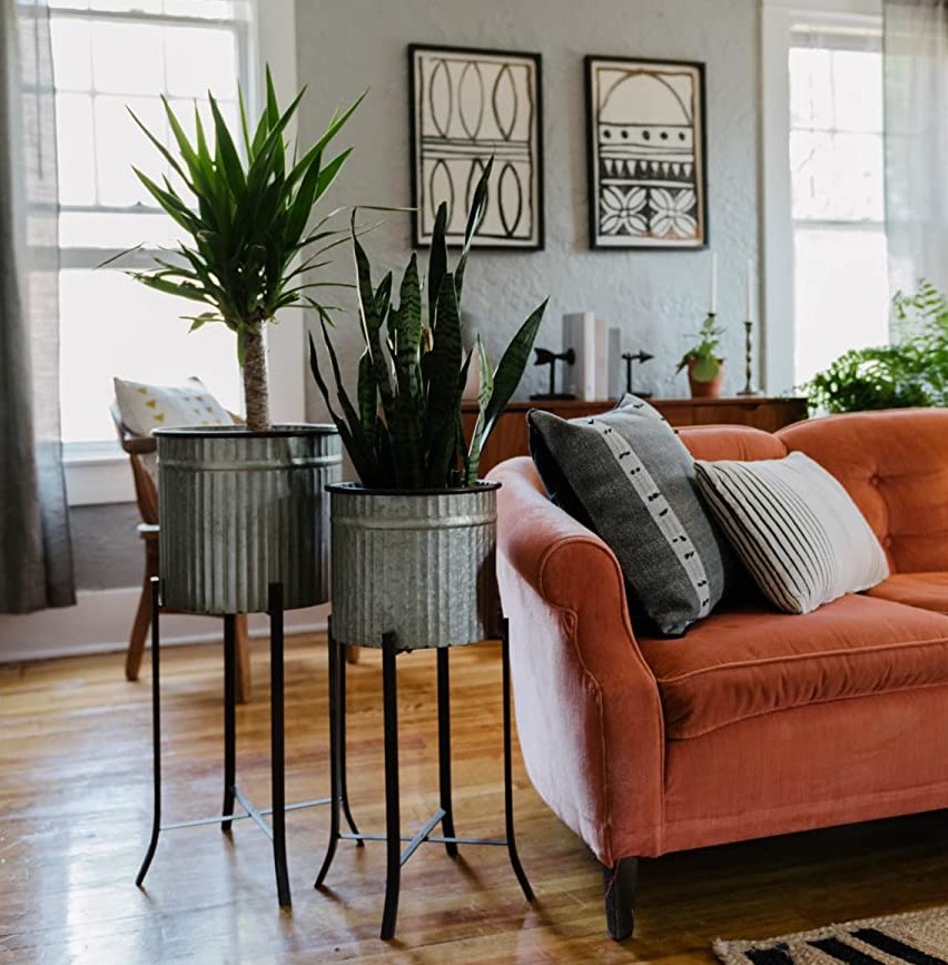 The 23 Best Plant Stands to Display Your Houseplants in 2023